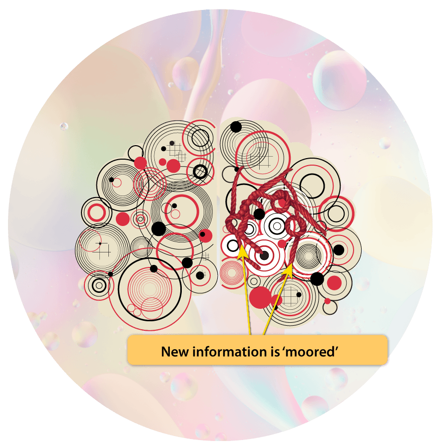 Cognitive Adaptation - Ripplesatwork