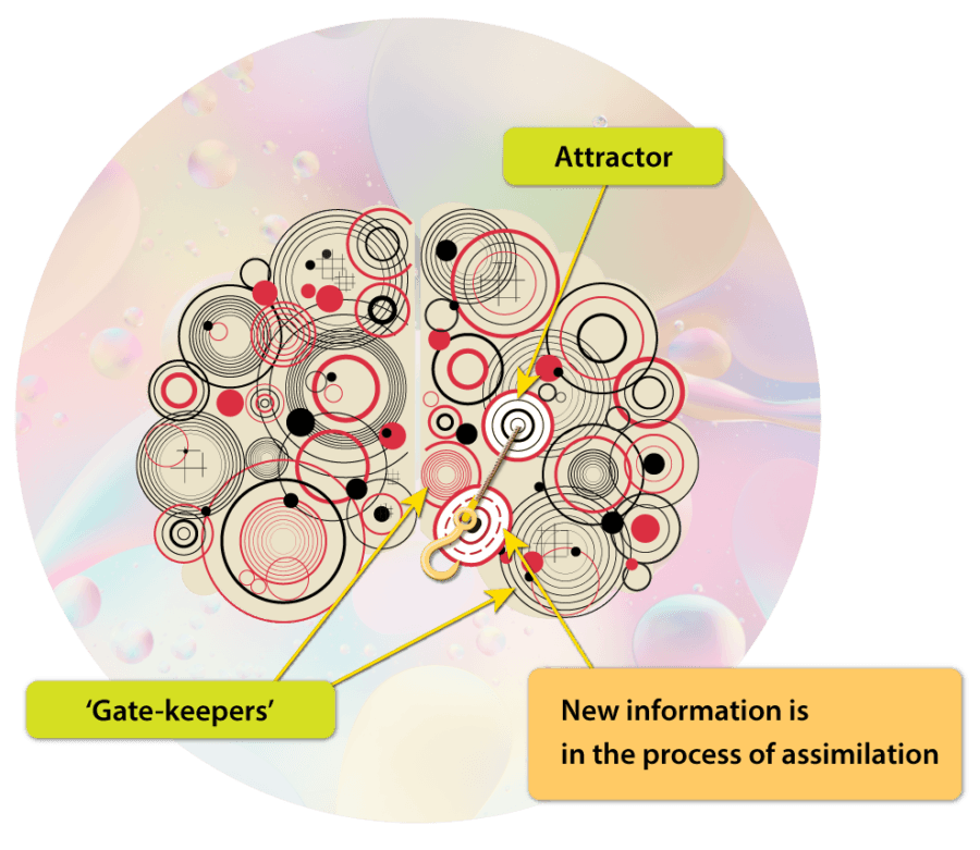 Cognitive Adaptation - Ripplesatwork