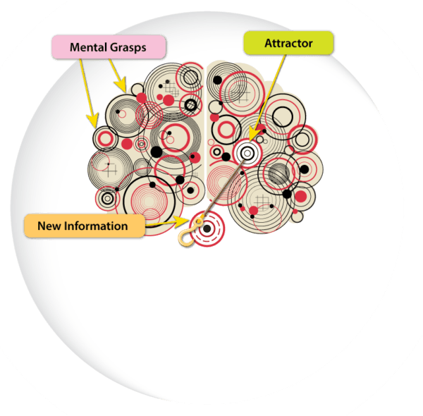 Cognitive Adaptation - Ripplesatwork