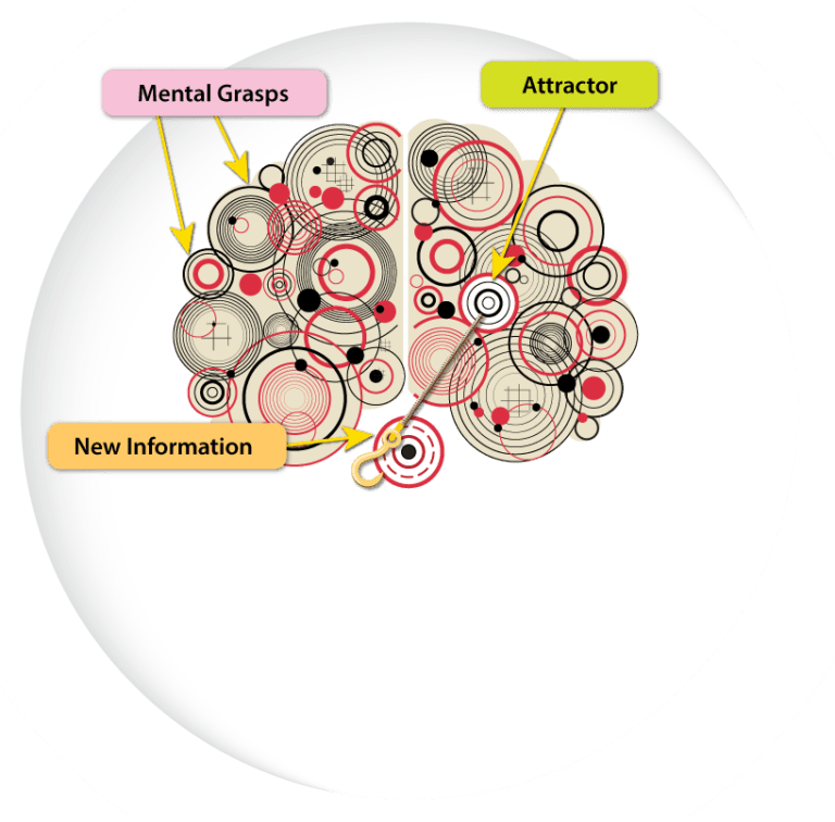 Cognitive Adaptation - Ripplesatwork