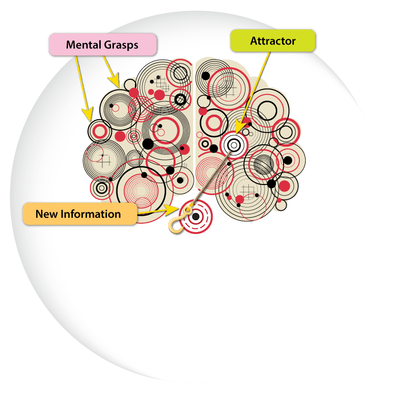 Cognitive Adaptation - Ripplesatwork
